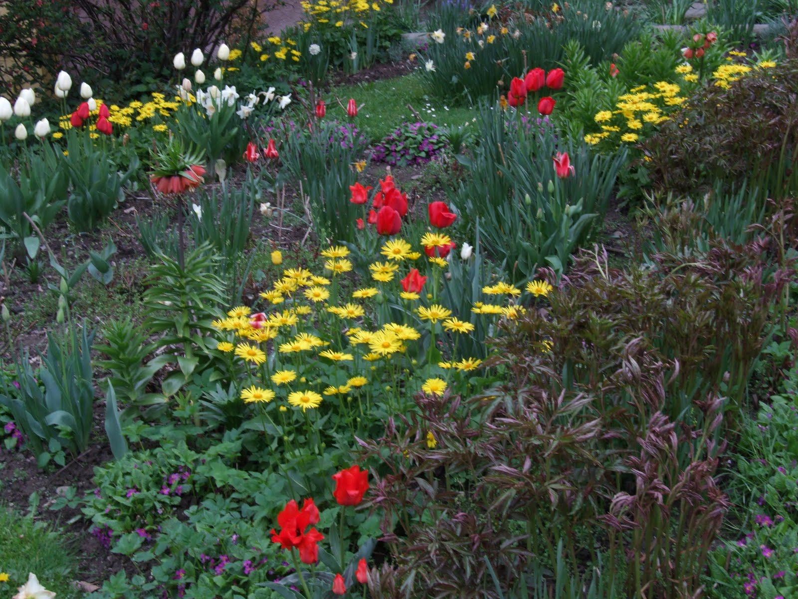 Radość szydełkowania