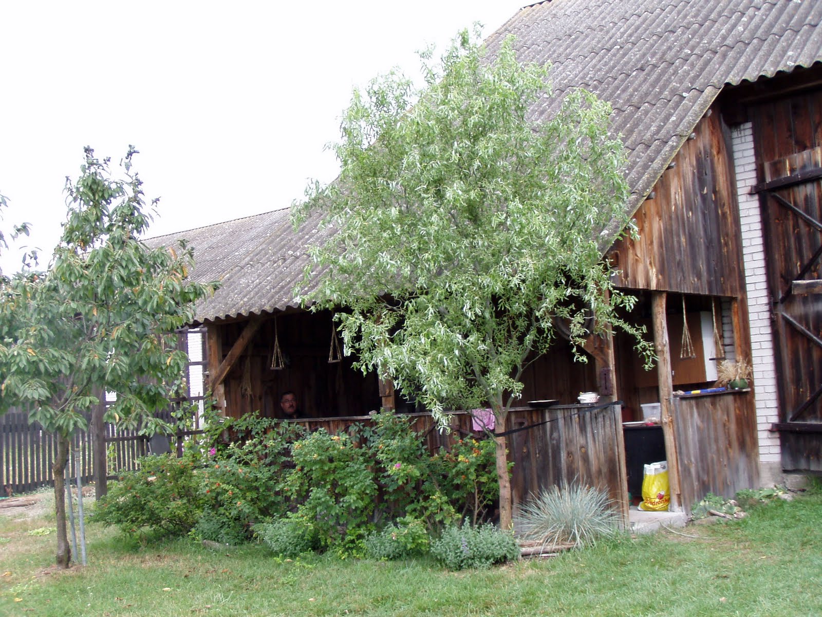 Radość szydełkowania