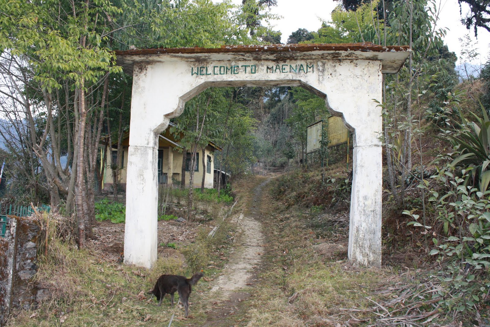 11000ft love: Bhaledunga the mountain top