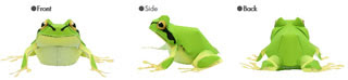 Animal Papercraft - Tree Frog ~ Paperkraft.net - Free Papercraft, Paper ...