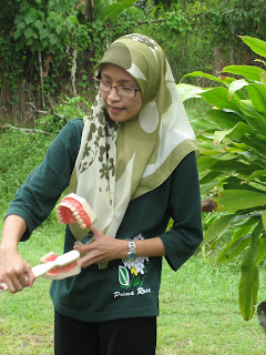 SR.MUDA HASHIM, TUTONG 1: Penerangan tentang Pergigian