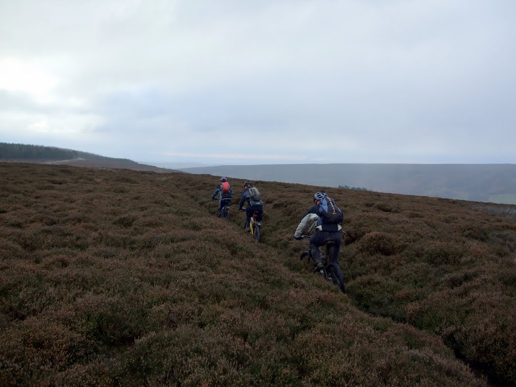 Mountain Biking In North Yorkshire: Rosedale Abbey - Newton-On ...