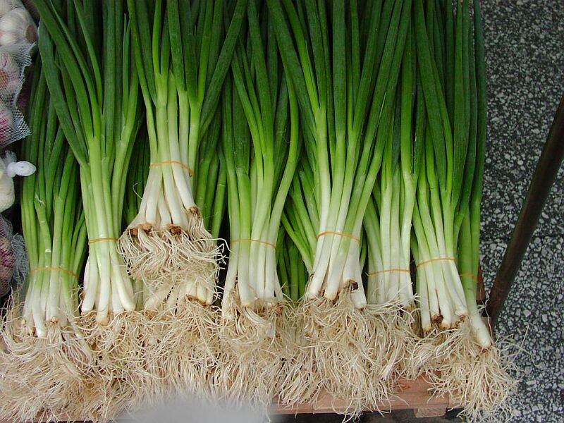 As Verduras e seus Benefícios: Cebolinha