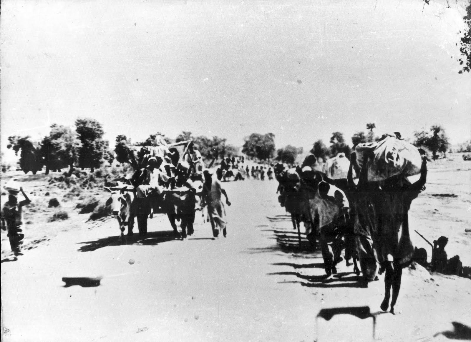 Shiraz Hassan: Images: Migration and Partition 1947