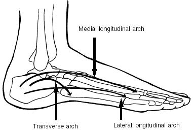 Barefootin' Bob: To Understand the Arches; You’ll Need to Understand ...