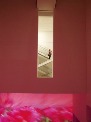 Taking Lead Now: A "Target Free Friday Night" Visit to the MOMA (Museum ...