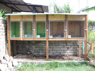 RABBIT OF PARADISE: Design Rumah/Sangkar/Reban arnab