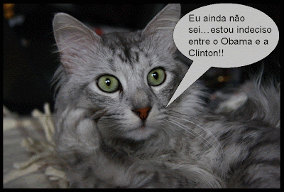 Quem sabe: Deambulações de um Gato doido...
