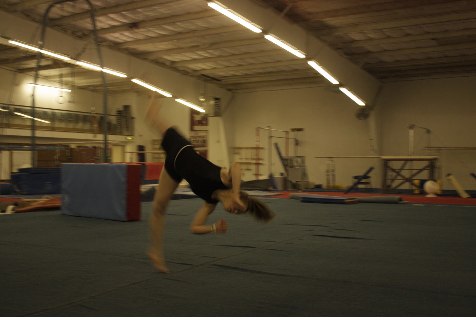 Flying High: Defying Gravity