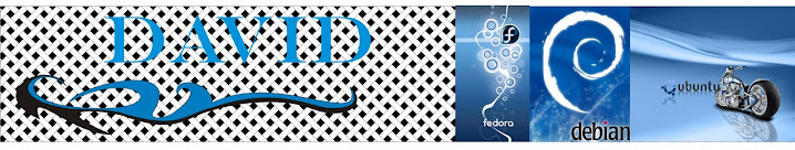 david: Logo de la empresa del proyecto de servidores