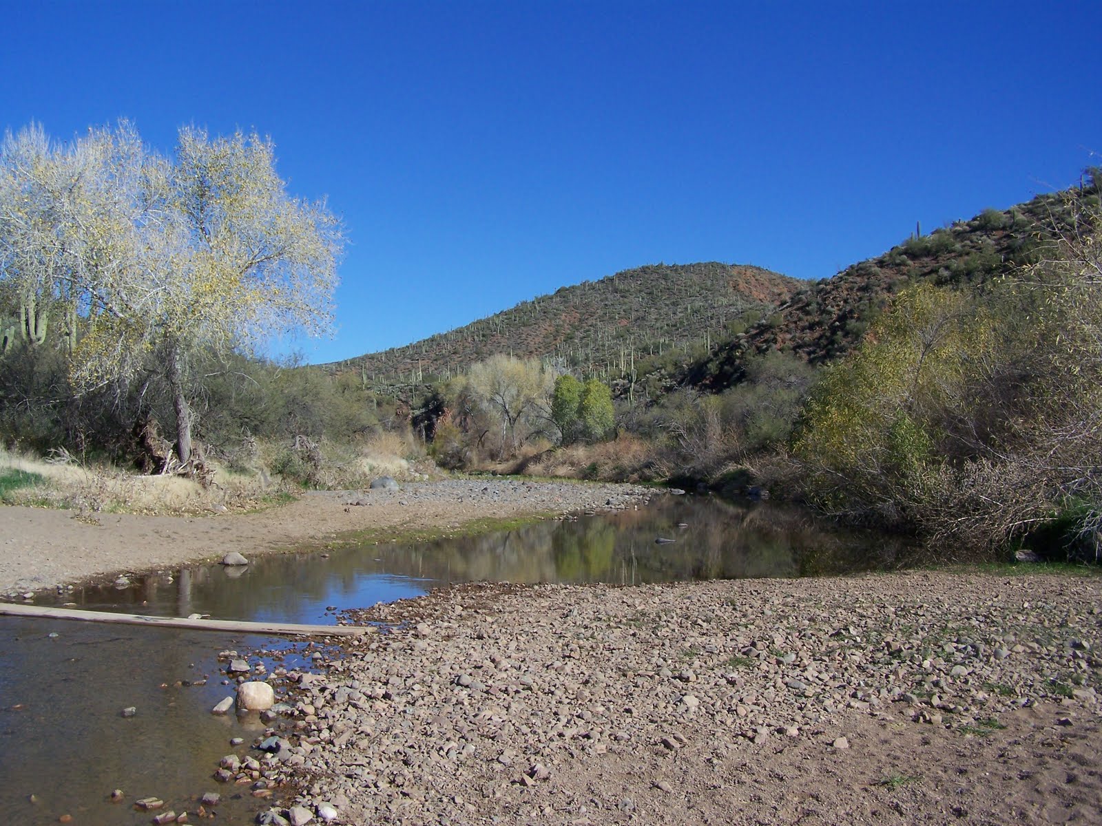 Up to Speed: Spur Cross Ranch