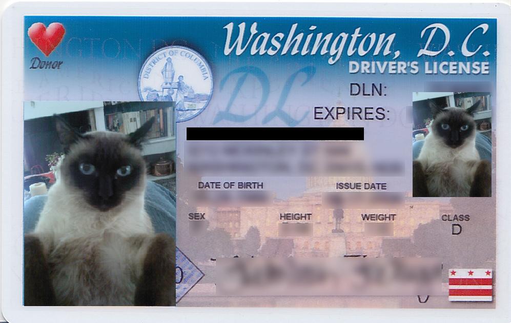 ΛΟΓΙΚΗ ΑΤΑΞΙΑ: Αυγούστου 2010