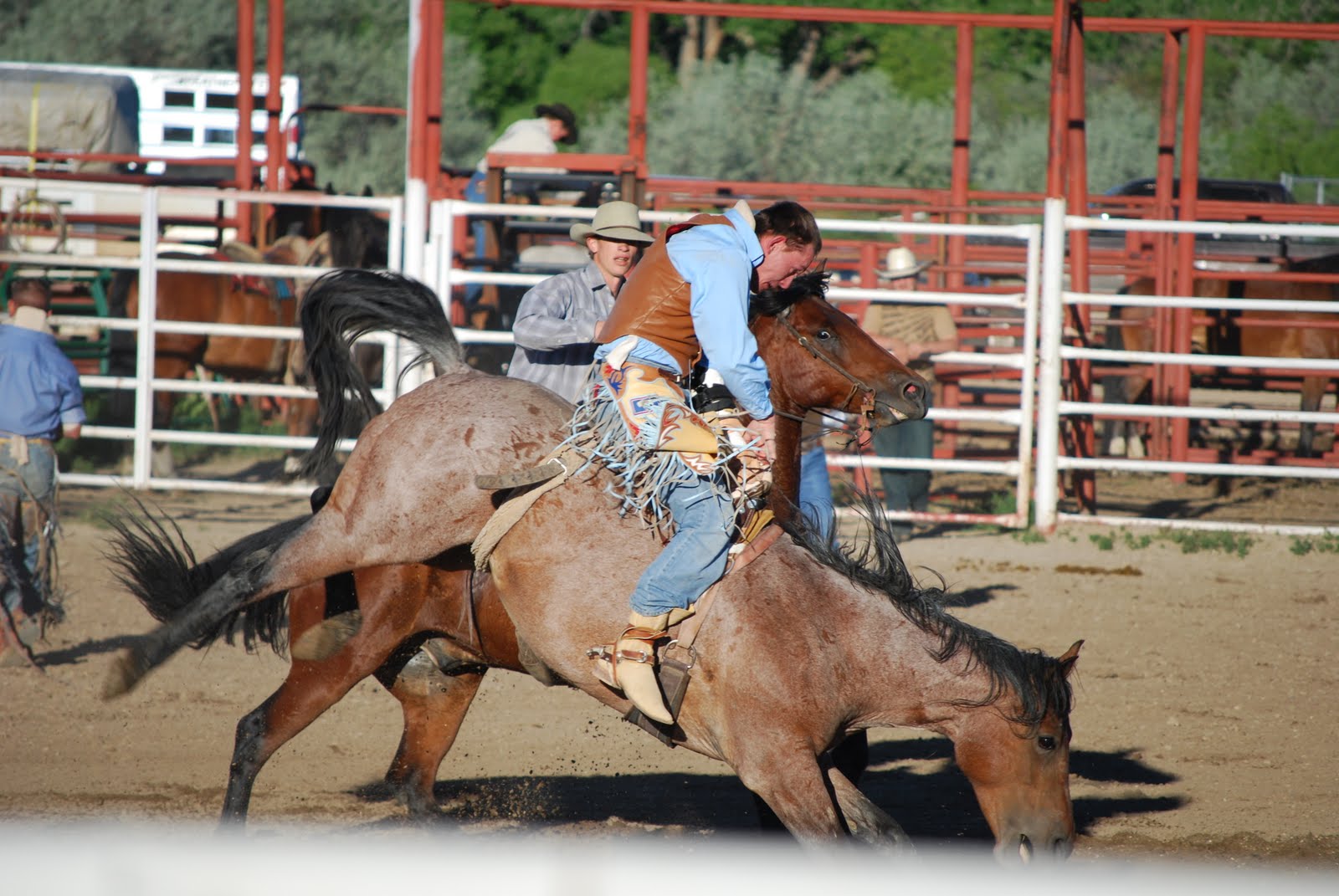 Chris LeDoux Memorial Broncs & Barrels