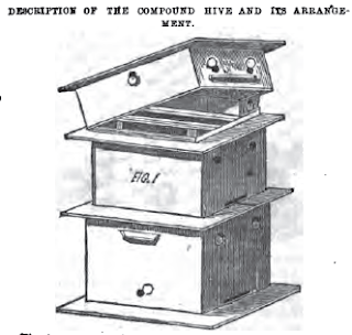 Bee Hive Journal - Help and advice for beekeepers