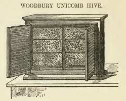 Bee Hive Journal - Help and advice for beekeepers