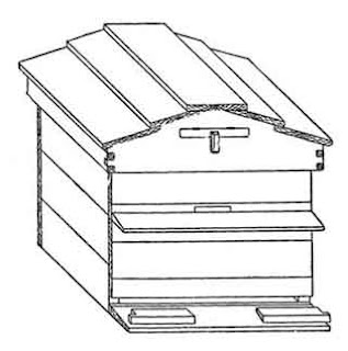 For Future Design: Popular Hexagonal beehive plans