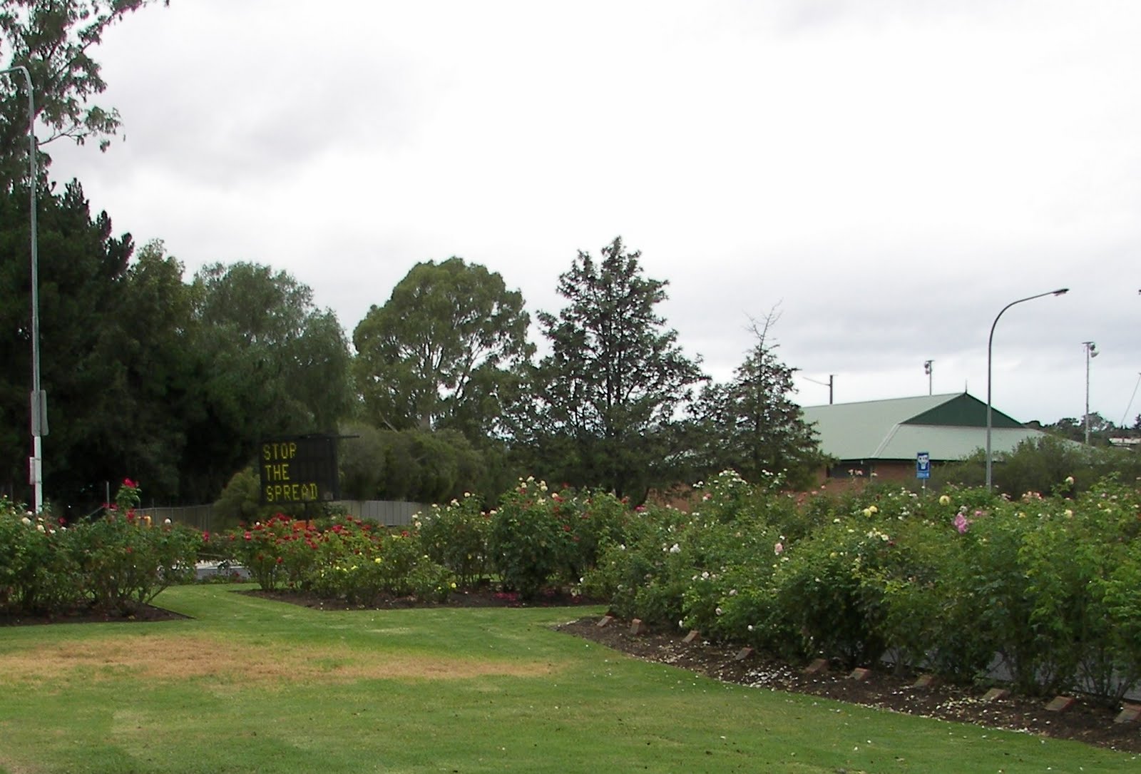 Tok Tok place: Cowra Memorial Rose Garden
