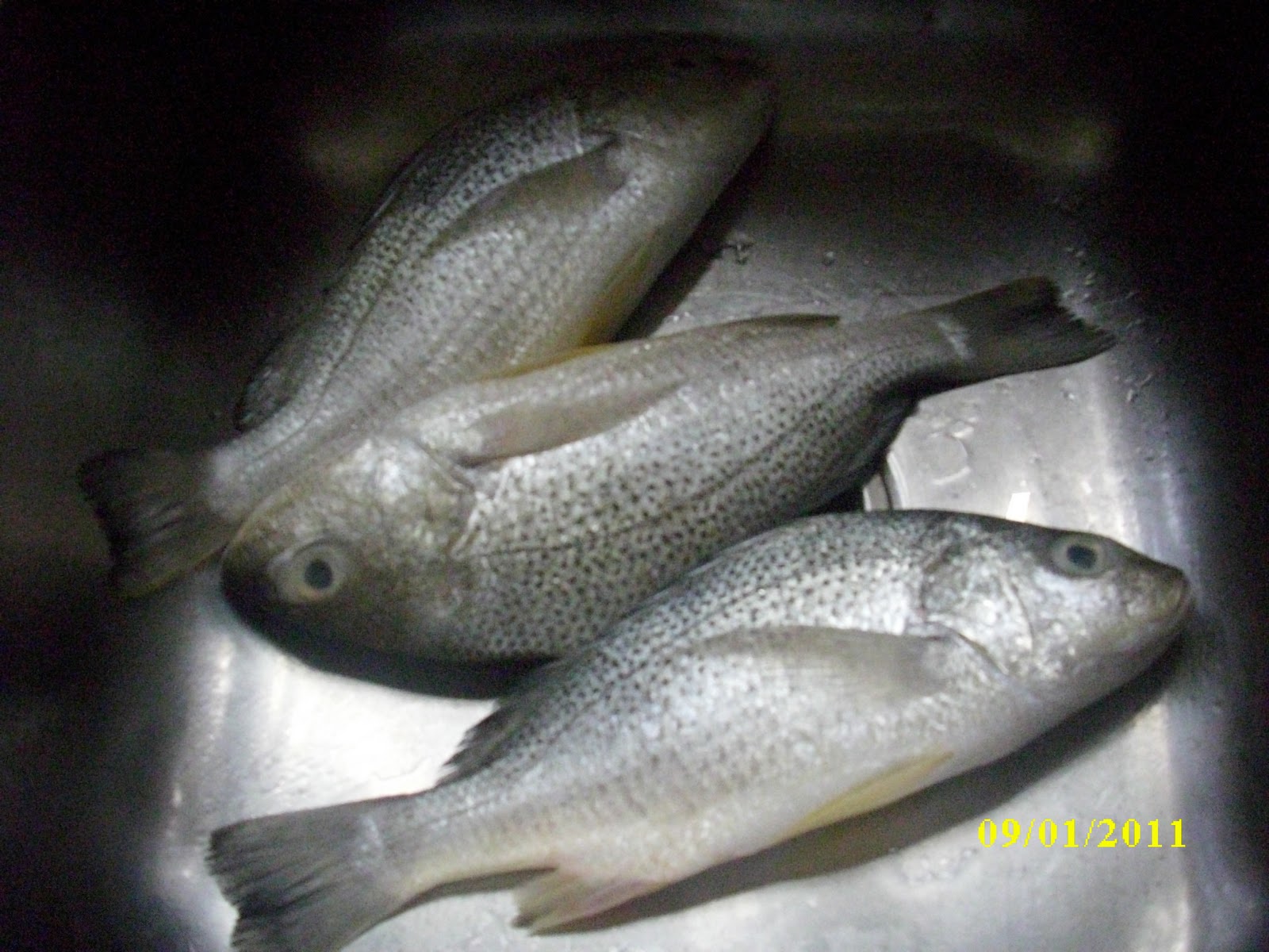 Ikan Gerut-Gerut Masak 2 Rasa - Amie's Little Kitchen