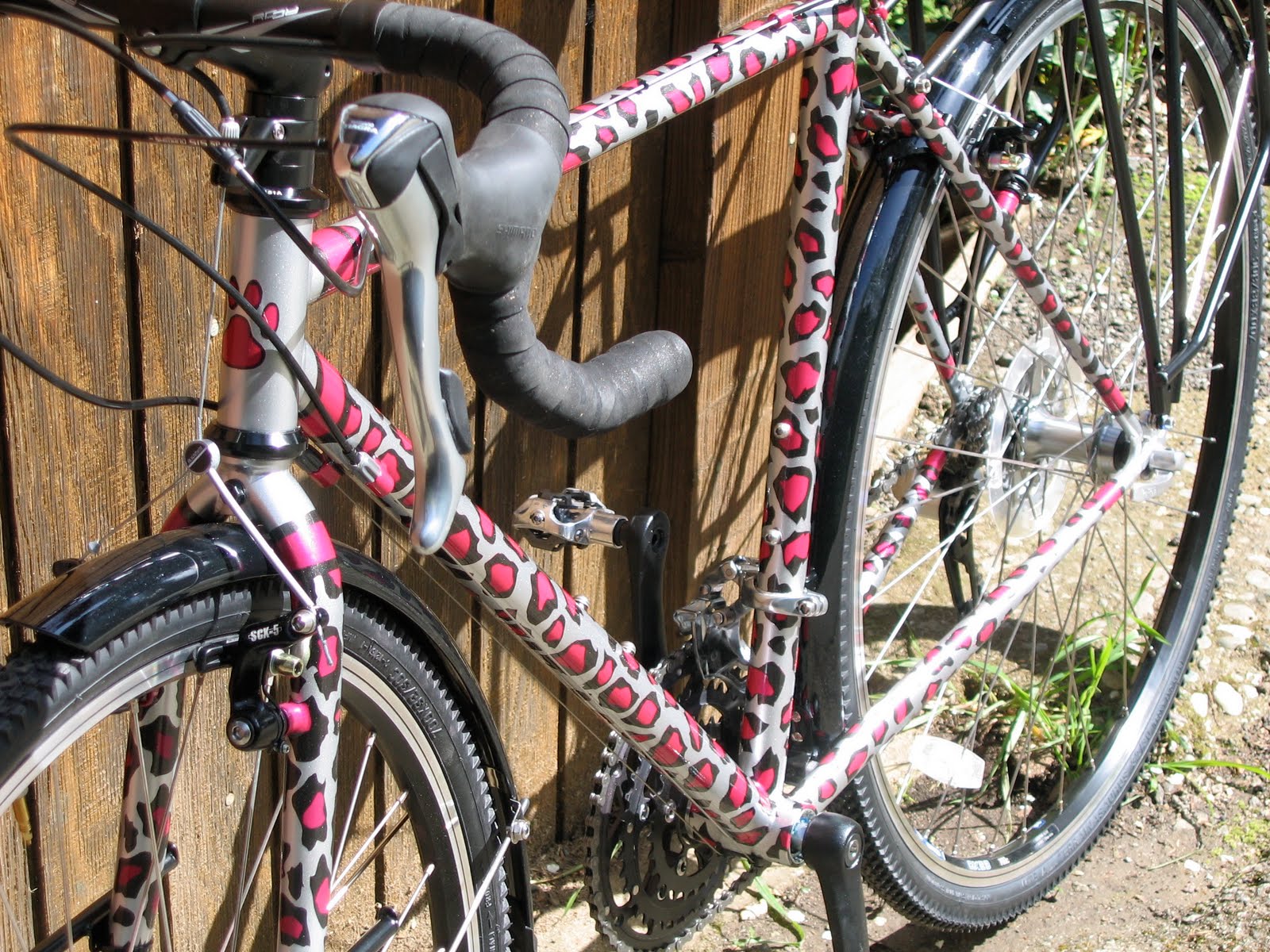 Life On A Bike: OTHER PREPARATIONS AND MAJOR PURCHASES