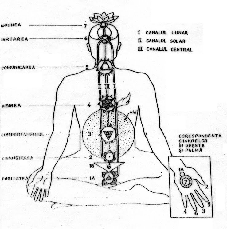 nicu sandu: Chakrele