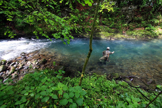 Fishing In Croatia (and in the neighbourhood): More photos from Curak ...