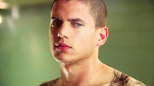 ANDROMAEDA DYLAN'S ANGEL: piku piku MICHAEL SCOfield