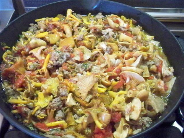 papavero di campo: Ragù di carne e misto di funghi alla sapienza ...