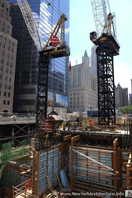 Beetle Son: 03/09/09