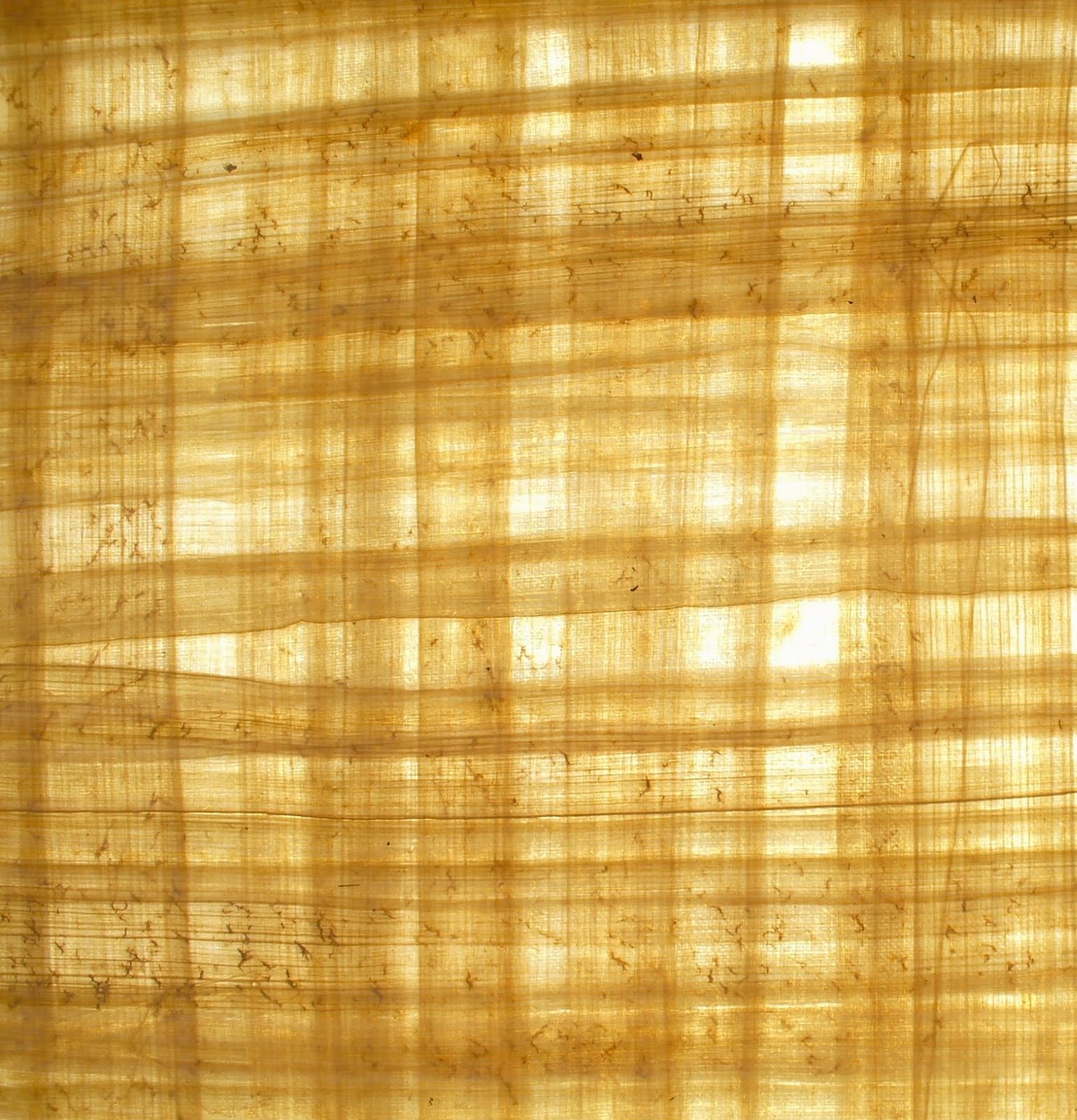 Days of the Pharaohs: Writing INSTRUMENTS OF ANCIENT EGYPT