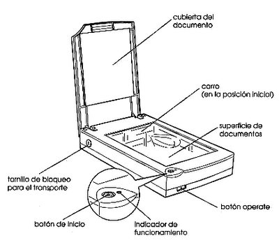 Mantenimiento Preventivo y Correctivo: Mantenimiento del Scanner