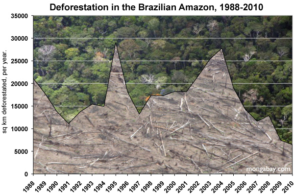 Biodiversity and Change: Deforestation Maps and Graphs