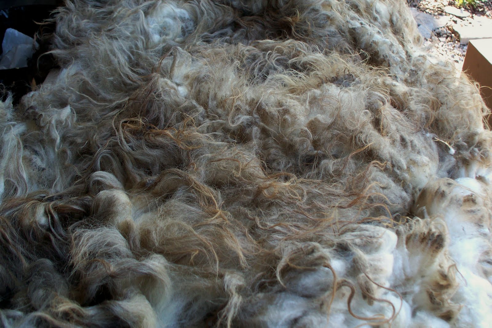 Country Cottage Primitives: Sheep Shearing Day at the Farm