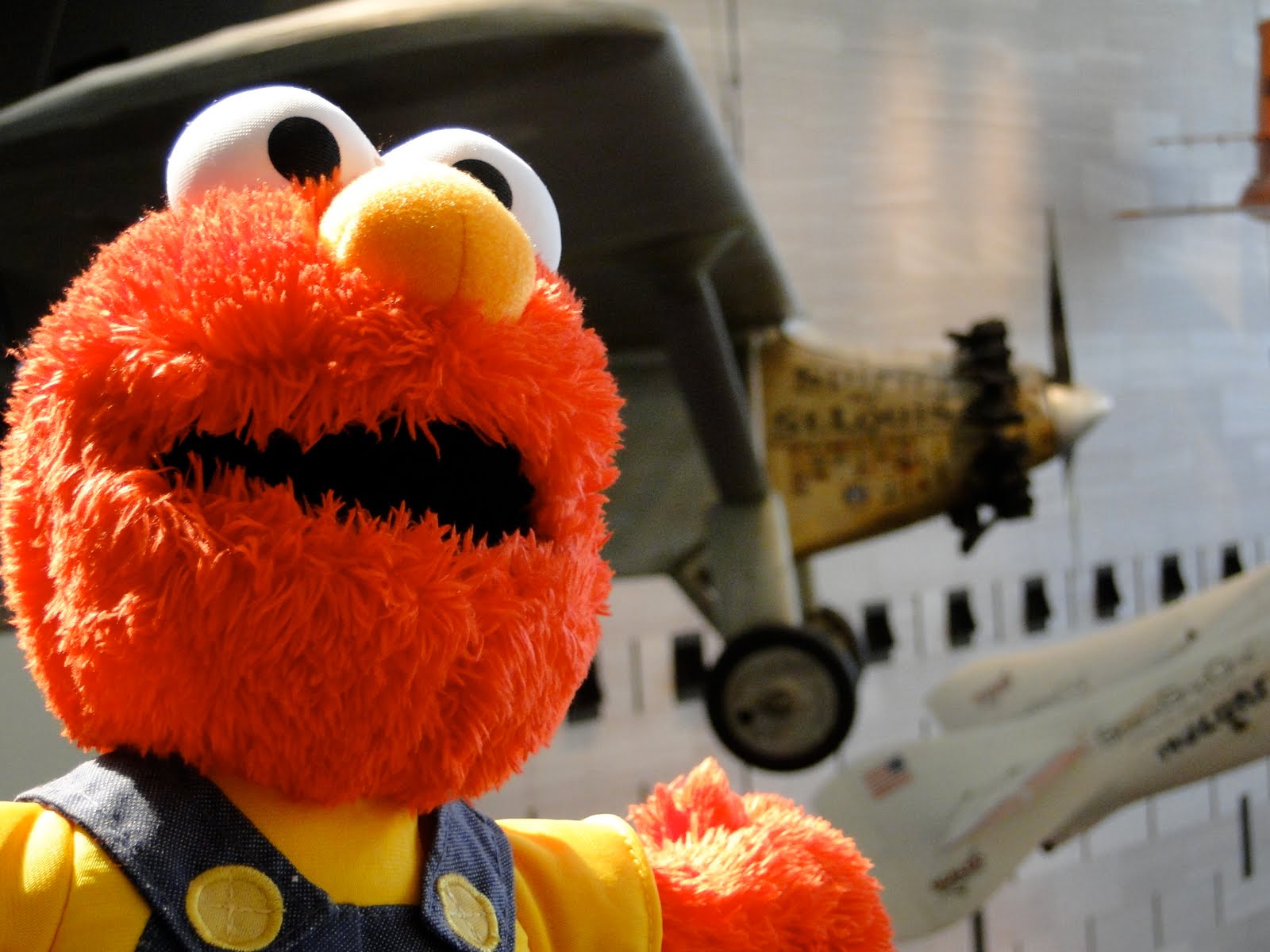 Elmo Visits Washington D.C.