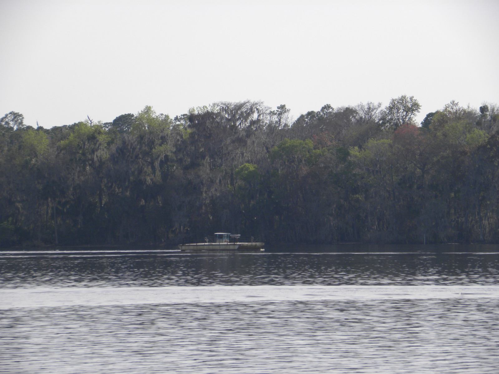 My Secrets for Happiness: Fort Gates Ferry, Florida