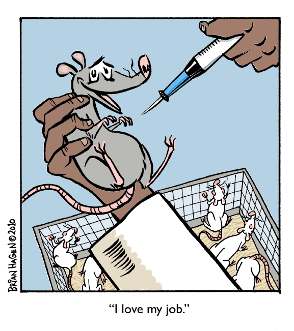 Shermin the Vermin: Research Rat
