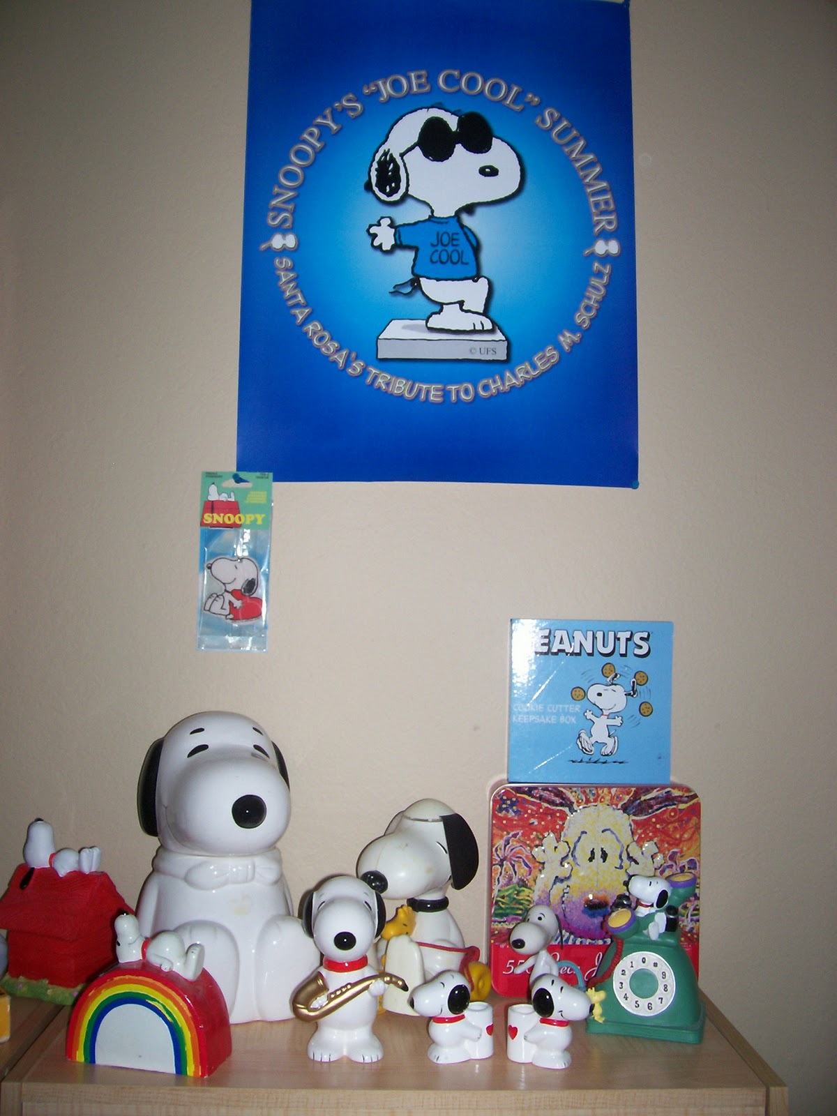 The Wild and Absolutely True Adventures of Meg: Blog Hop: Collections