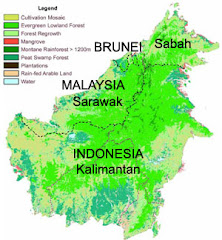 Why Are Borneo's Forests Vanishing?: Indonesia: deforestation and ...