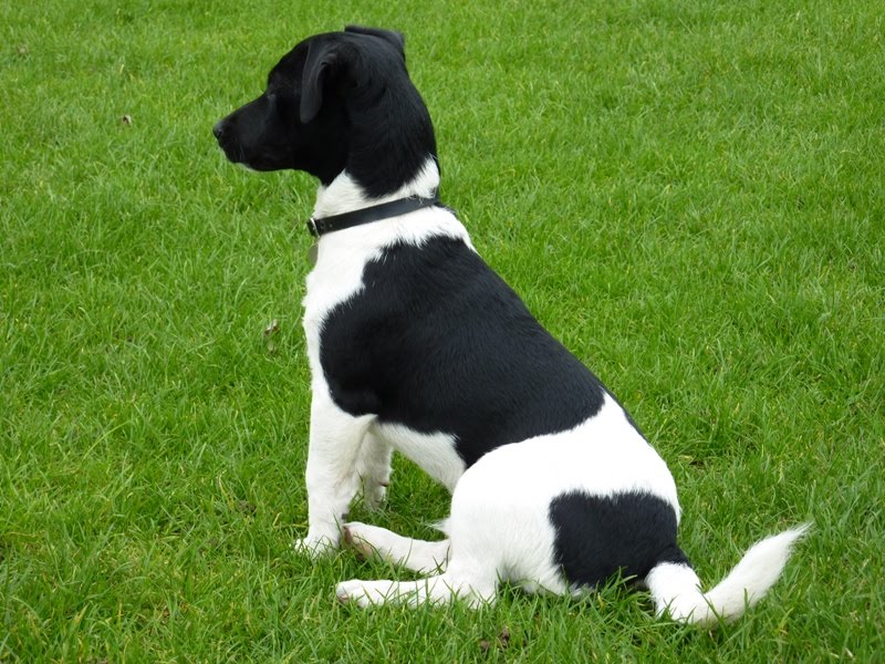 PATTERJACK TALES: UPDATE