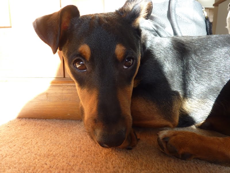 PATTERJACK TALES: UPDATE