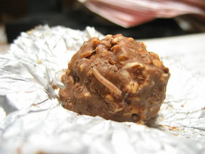 Not2Eat: Wormy Ferrero Rocher