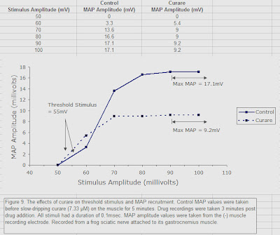Team Awesome's NMJ Experiment: Figures 9, 10 + Table 2 (Curare)