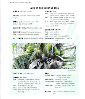 Project Math Adventures : The Uses of the Coconut Tree