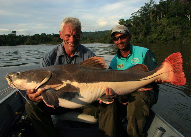Pezcalandia Blog: Pescan manguruyú de 82 kilos en río Paraná