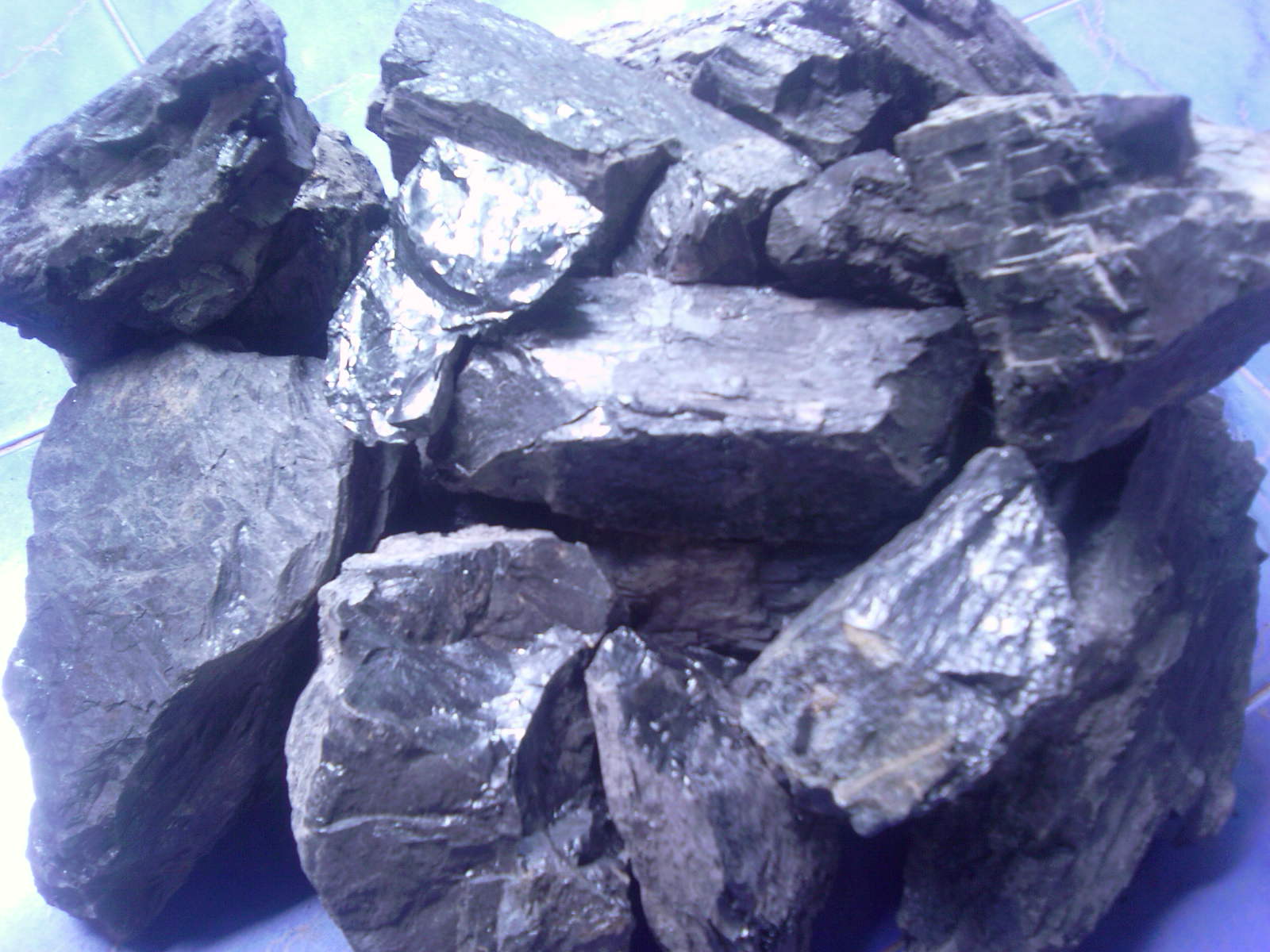 CEMPANIGA GROUP: Tentang Mangan