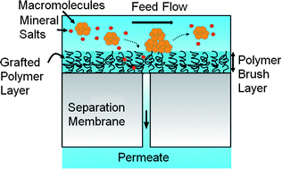 Al Fin: New Desalination Membrane Self-Cleaning