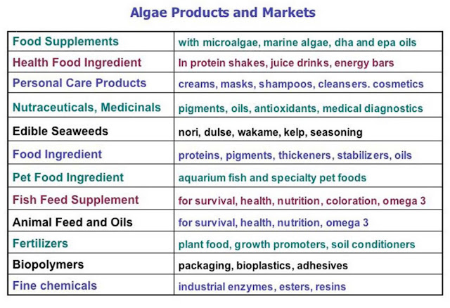 Al Fin Energy: Algae Is Already Big Business