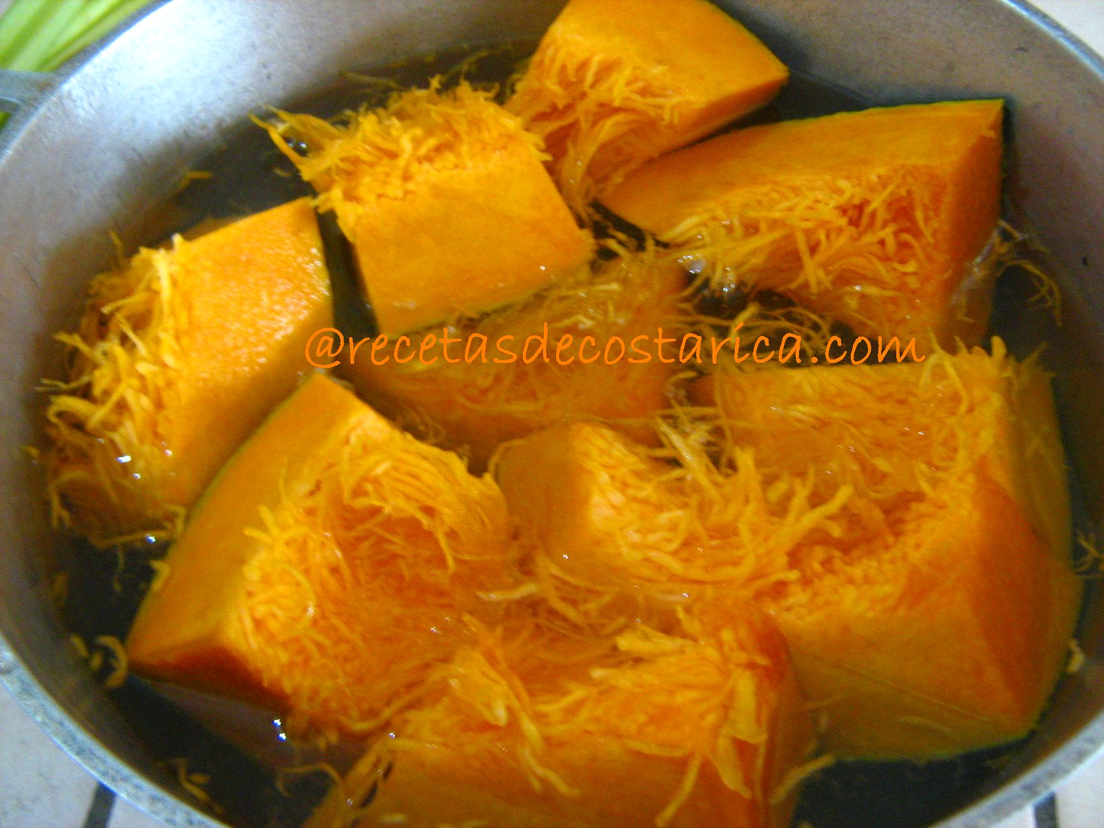 Cocina Costarricense: agosto 2010