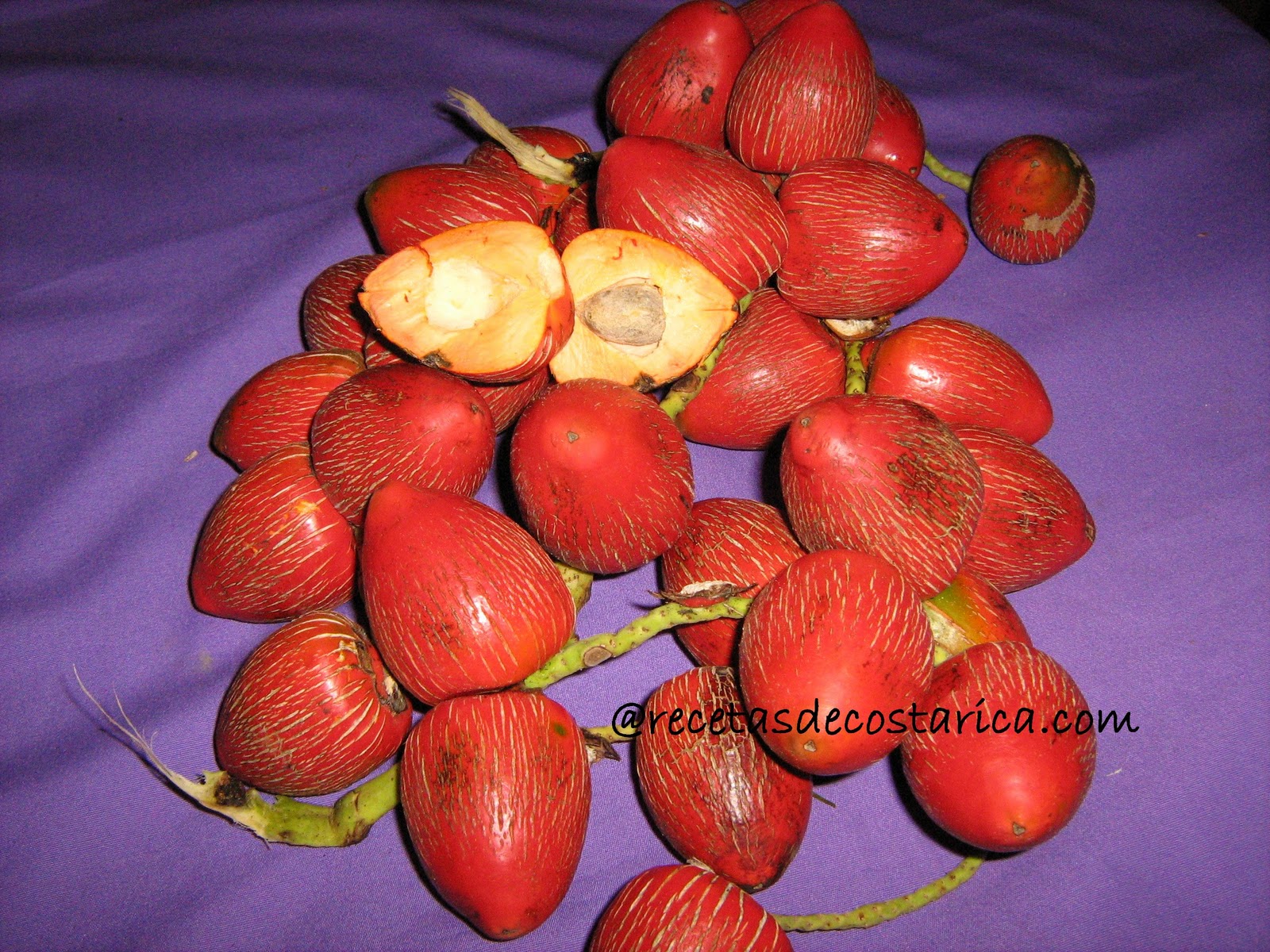Cocina Costarricense: cajeta de pejibaye