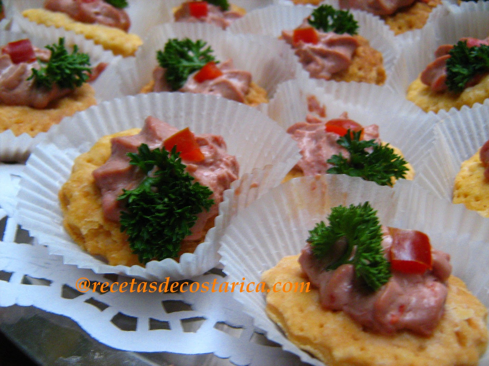 Cocina Costarricense: dips de paté