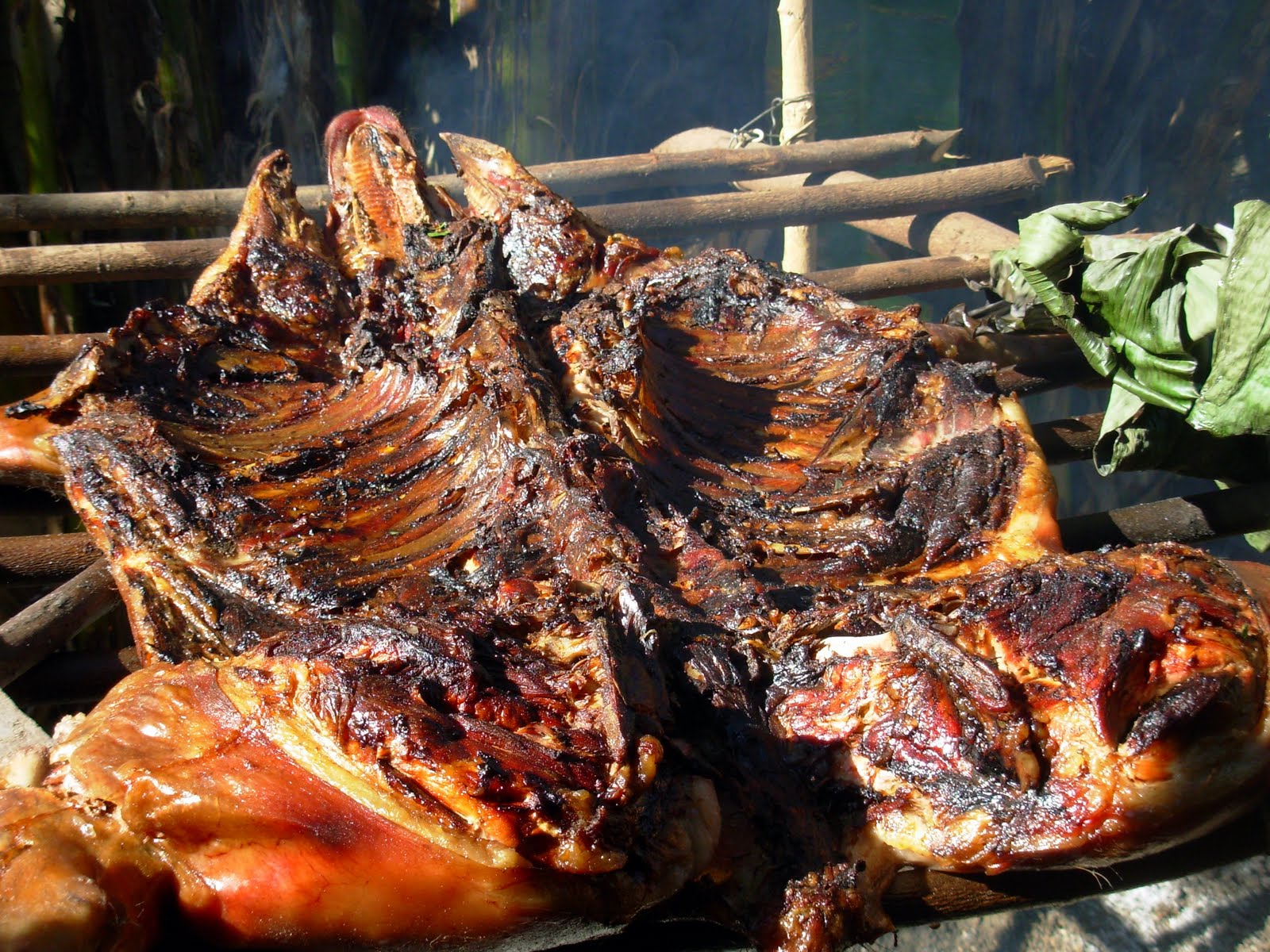 The Cuban Triangle: How to roast a pig